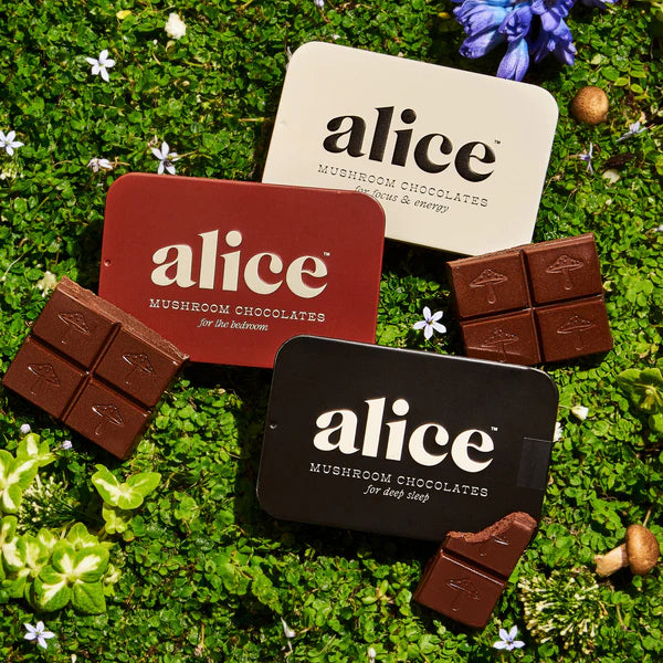 Alice Chocolate Mushrooms